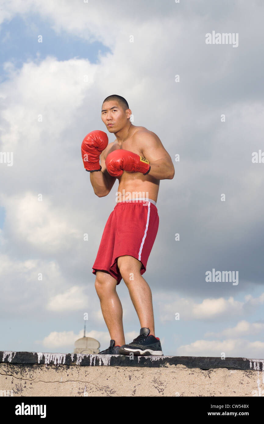 Boxer practicing on a rooftop, New York City, New York State, USA Stock ...