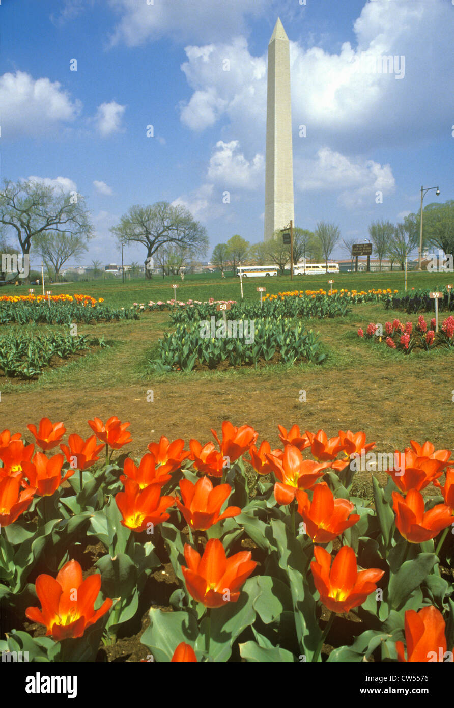 Dc monument spring flowers hi-res stock photography and images - Alamy