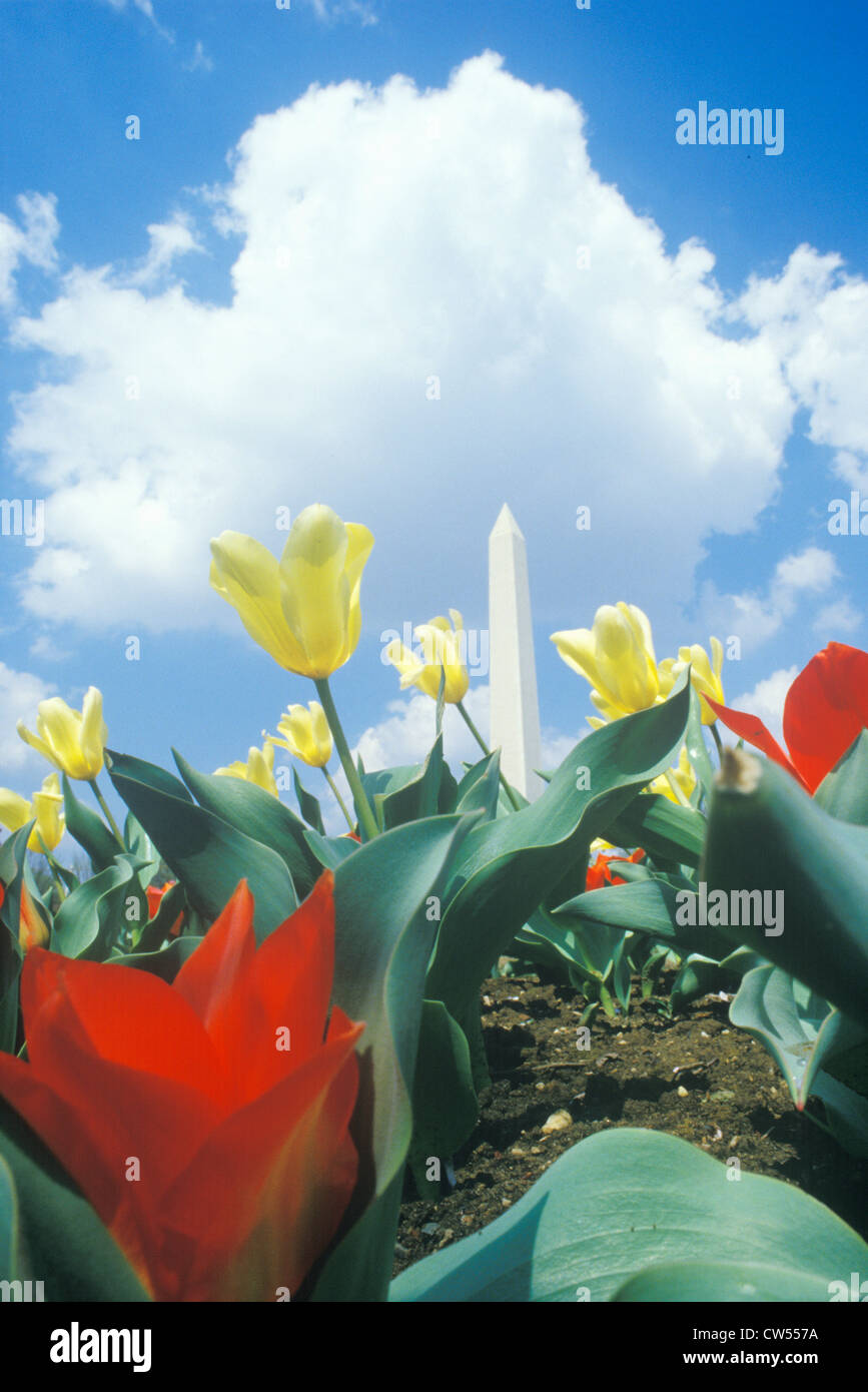 Washington district of columbia unit hi-res stock photography and ...