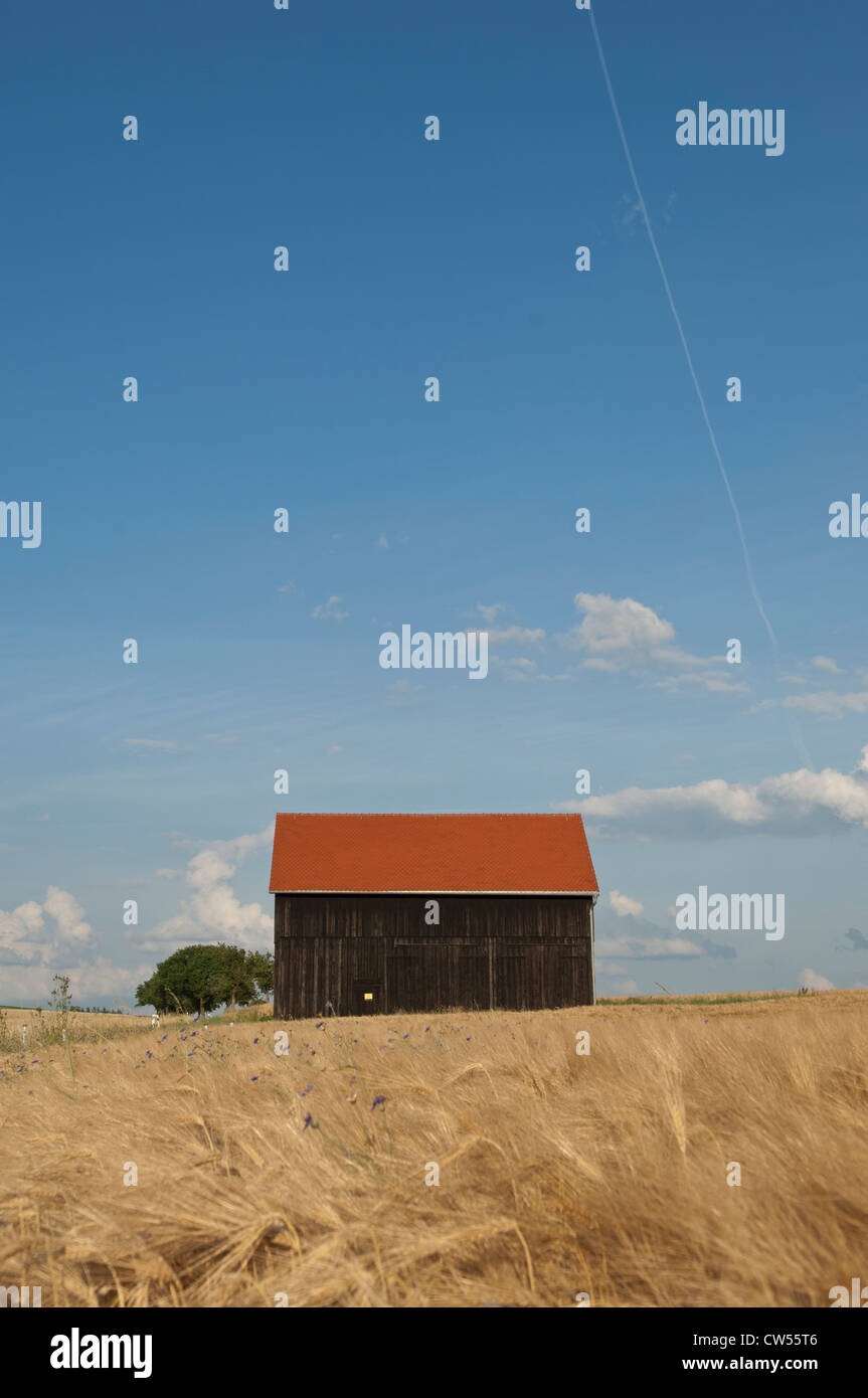 The wheat barn roof hi-res stock photography and images - Alamy