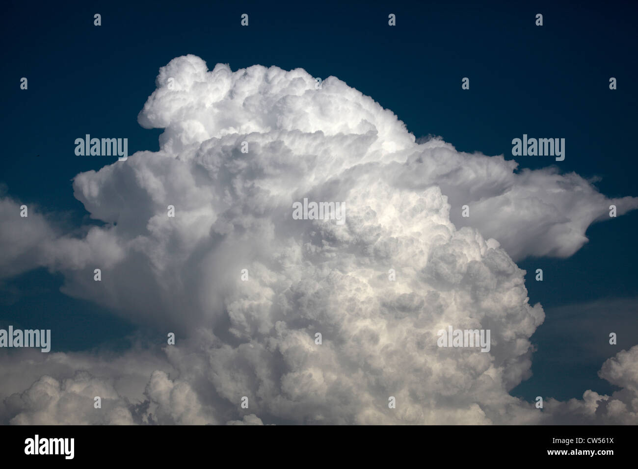 Upwelling cumulus cloud, showing beginning signs of high altitude ...