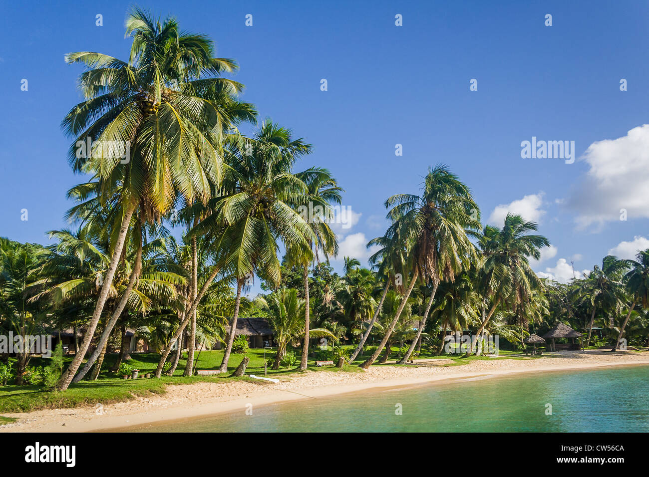 Tropical landscape with palm trees on the beach Stock Photo - Alamy