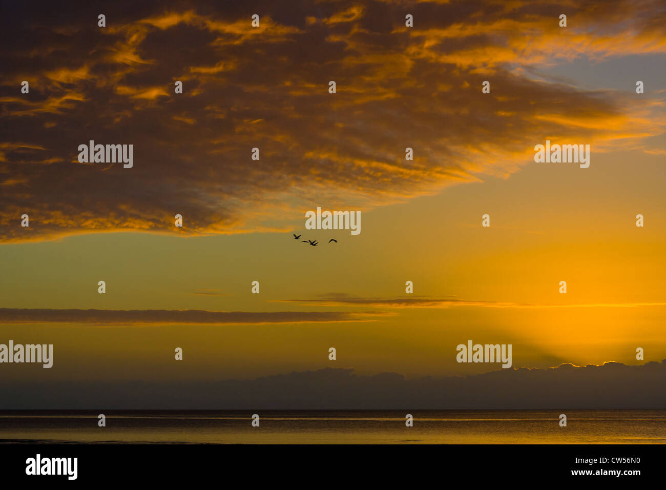 Colorful cloud sunset beach hi-res stock photography and images - Alamy