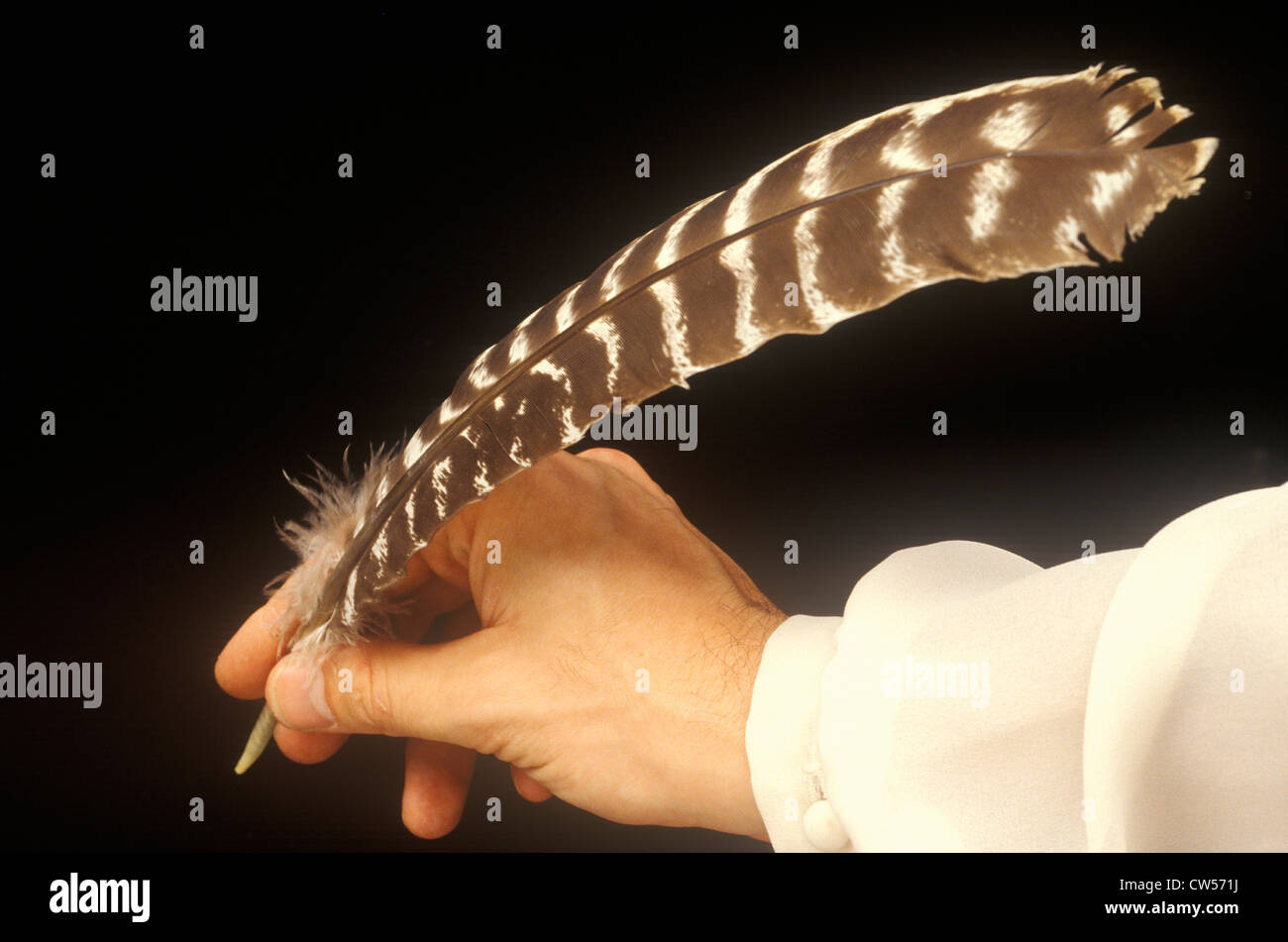 The quill hi-res stock photography and images - Alamy