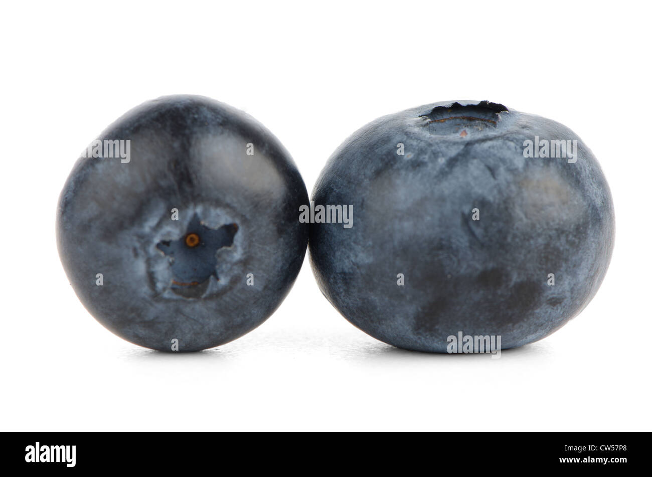 Sweet Blueberry berry closeup isolated on white background Stock Photo ...