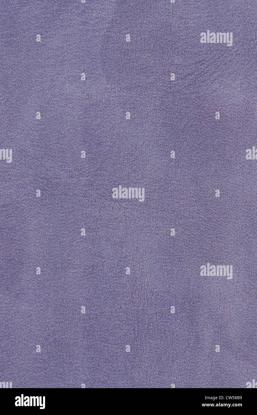 Purple leather texture closeup detailed background Stock Photo - Alamy