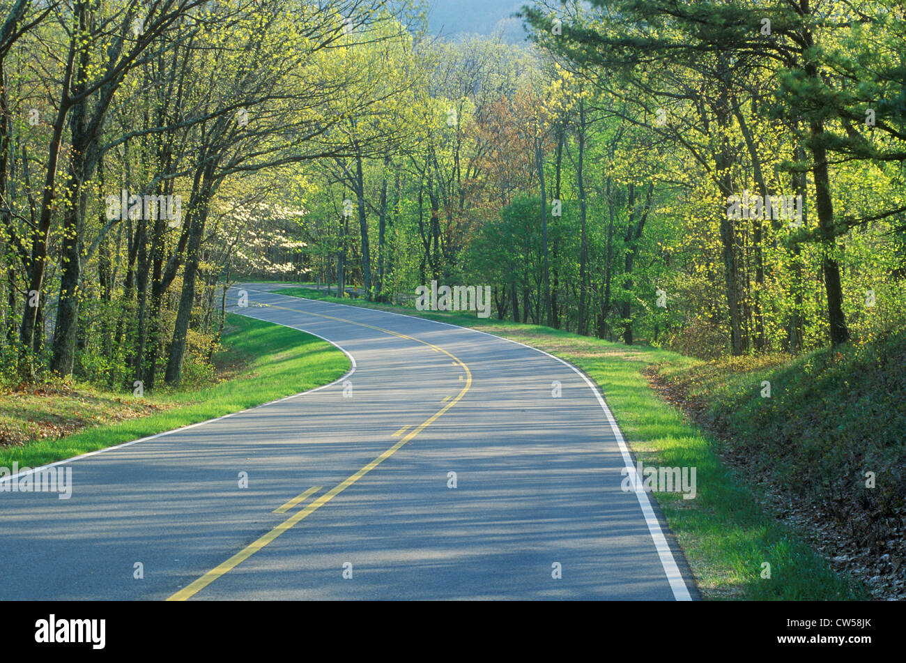 Skyline Drive in Shenandoah National Park in Spring, Virginia Stock ...