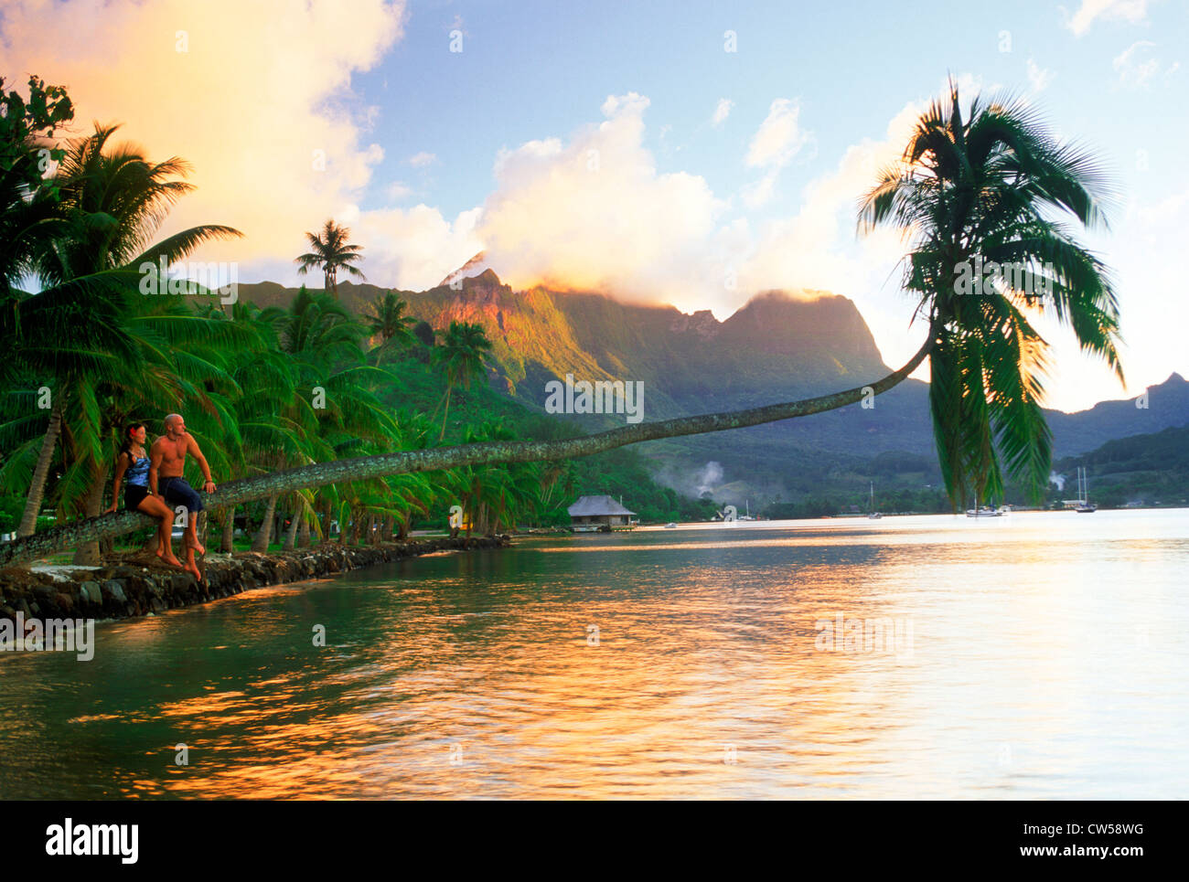 Couple sitting on long palm tree trunk over Cooks Bay lagoon below ...