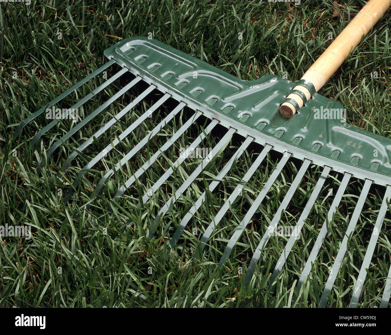 Close-up of a rake Stock Photo - Alamy