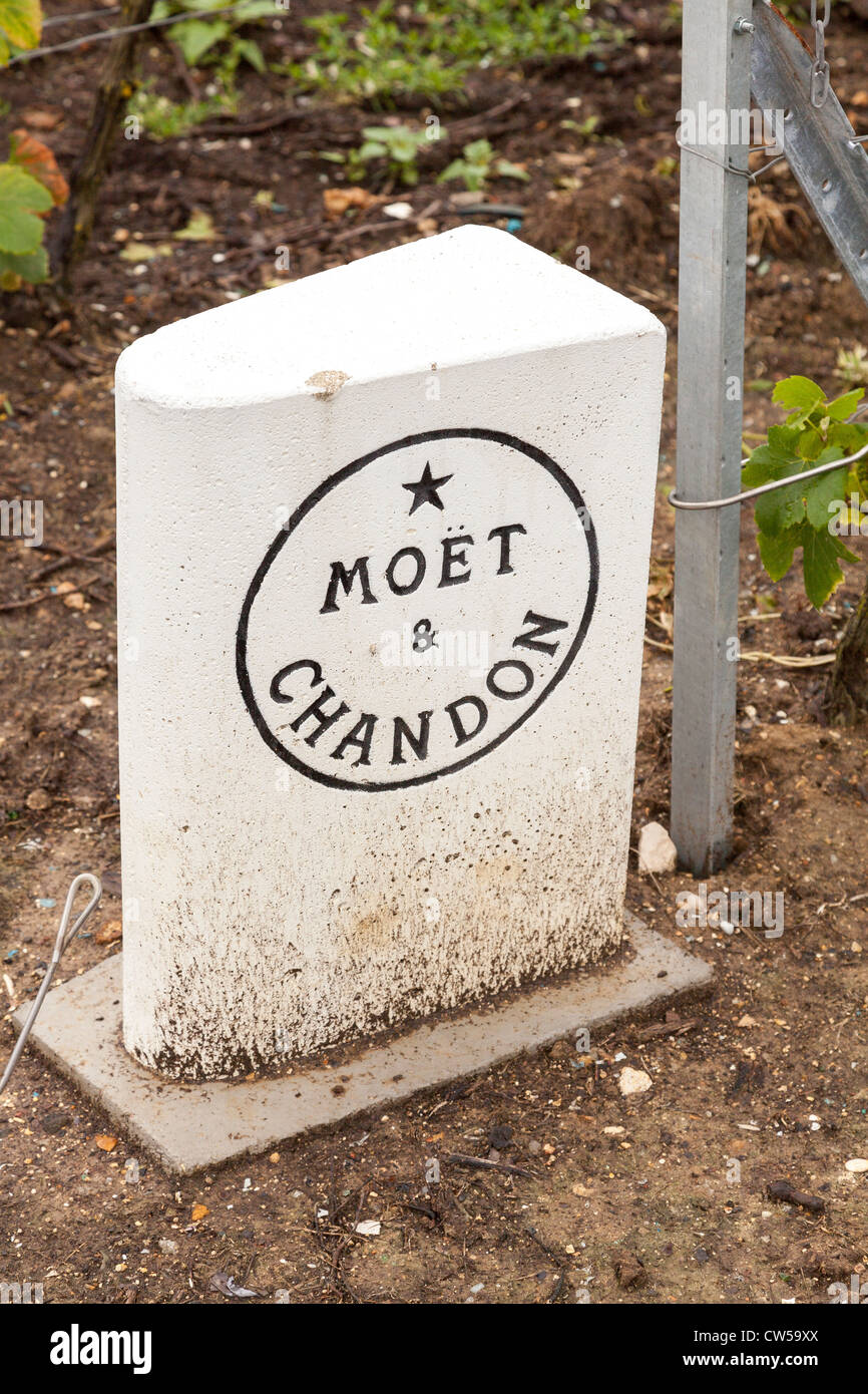 Moet chandon epernay vineyard hi-res stock photography and images - Alamy