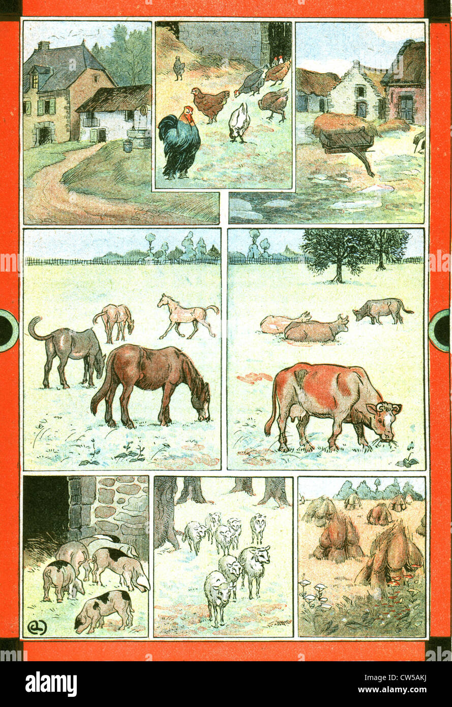 Farm animals in "Mon journal" of 9-9-1911 Stock Photo - Alamy