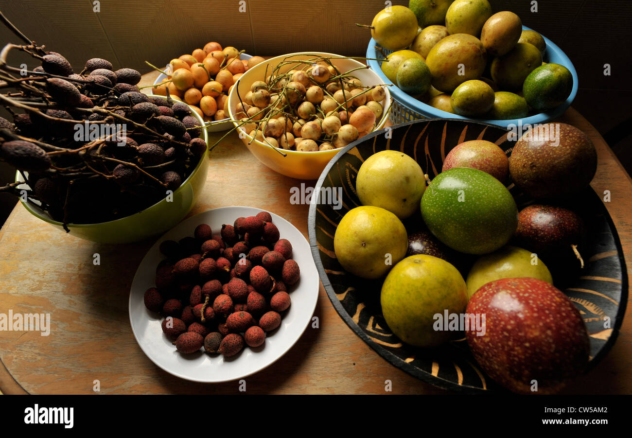 thai fruits, exotic and tropical fruits of thailand, still life display ...