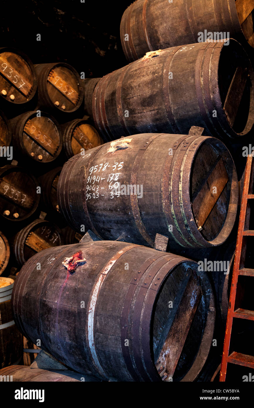 Rioja wine cellar hi-res stock photography and images - Alamy
