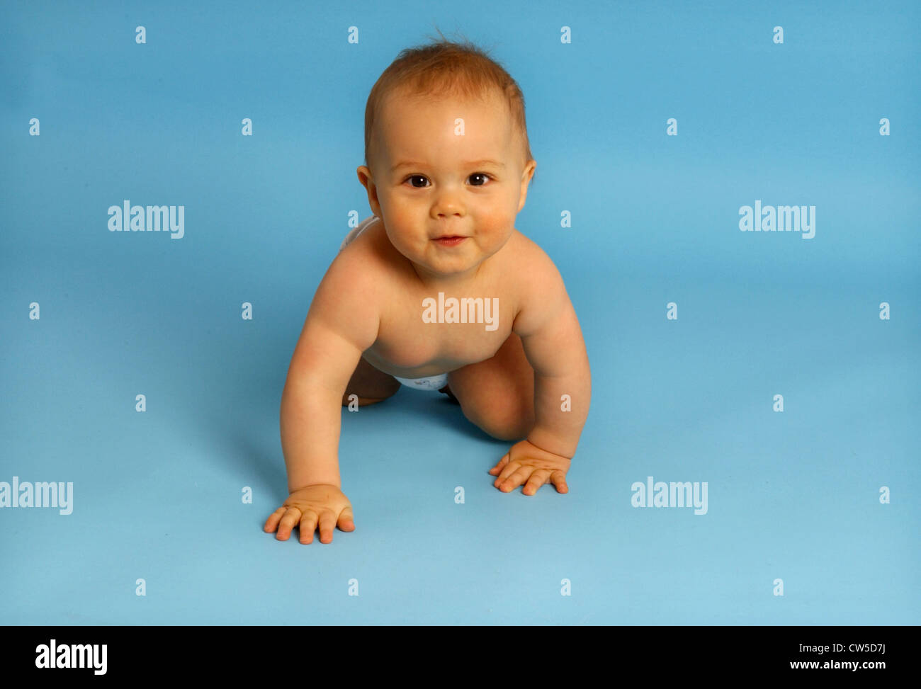 Eight month old baby Stock Photo - Alamy
