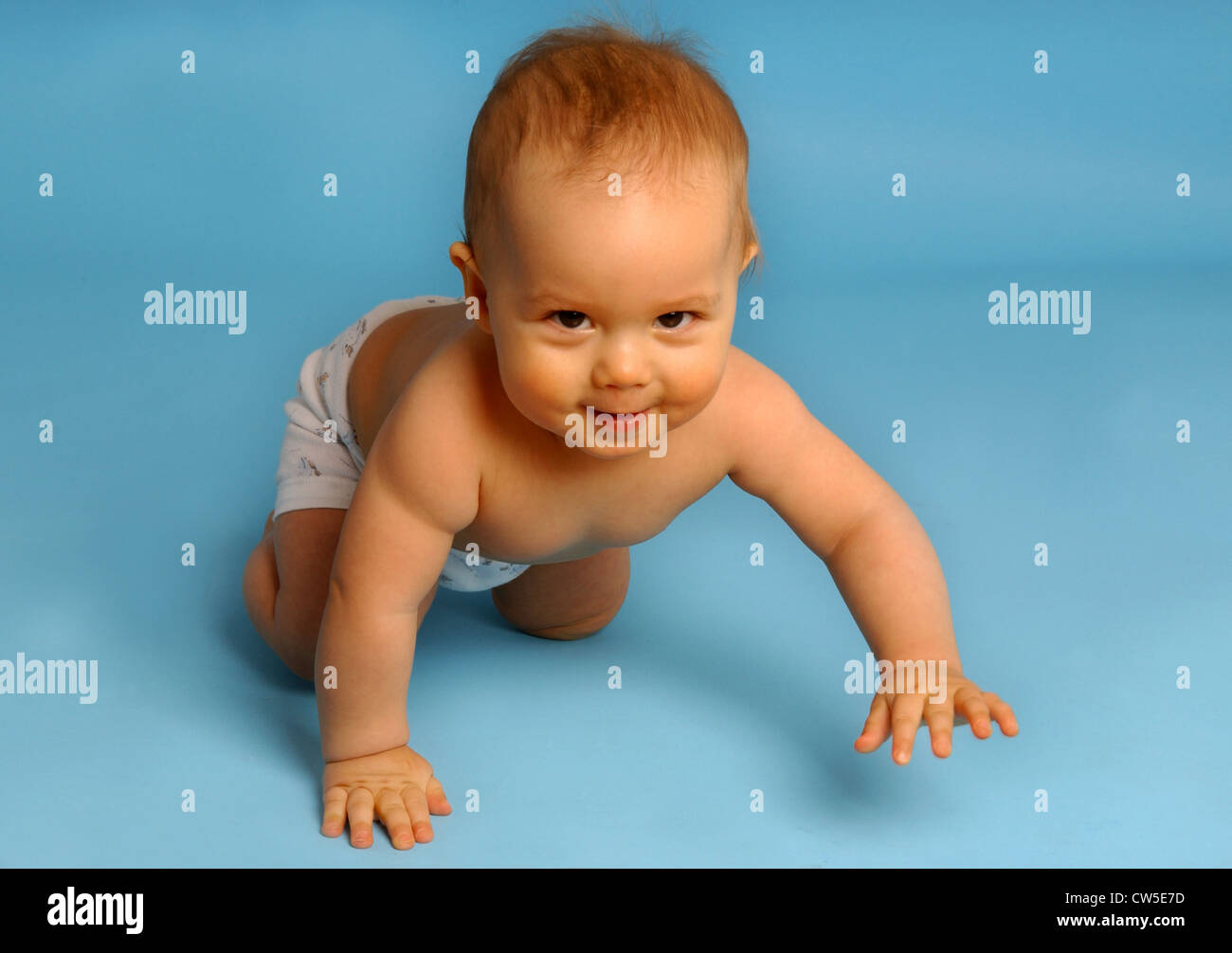 Eight month old baby Stock Photo - Alamy