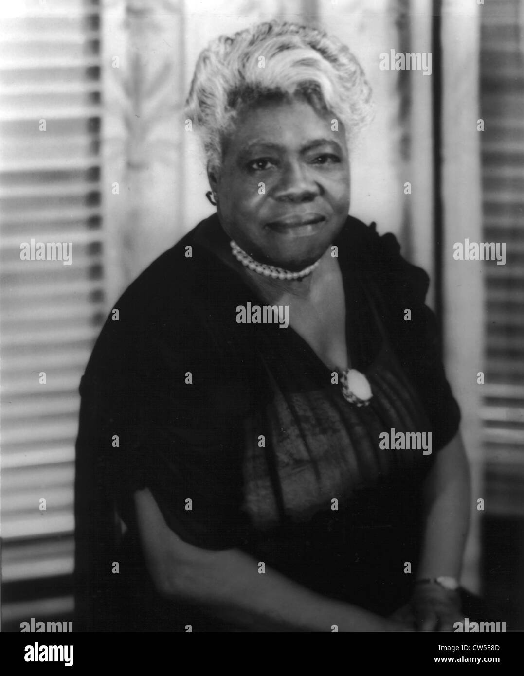 Mary mcleod bethune hi-res stock photography and images - Alamy