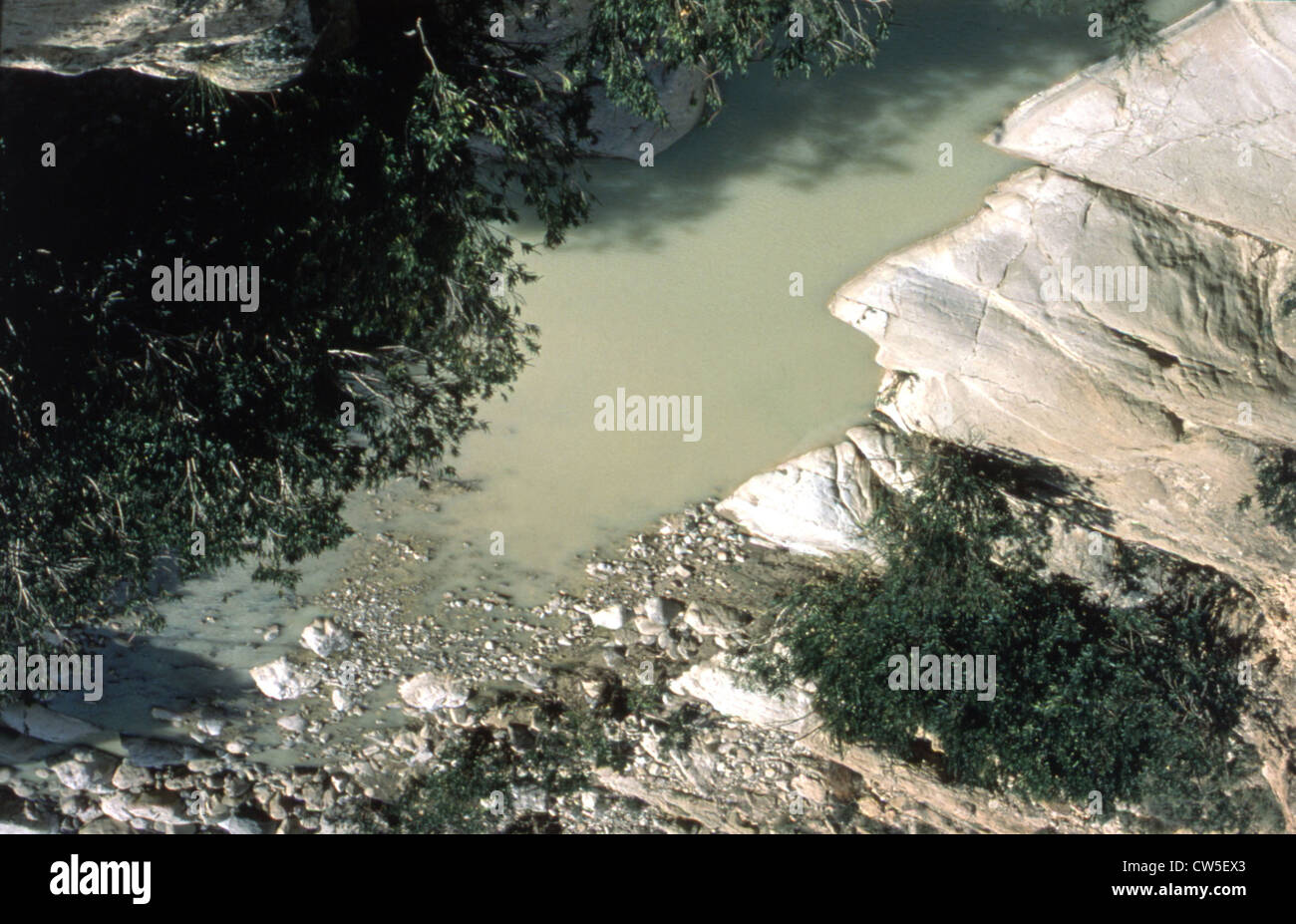 Aures hi-res stock photography and images - Alamy