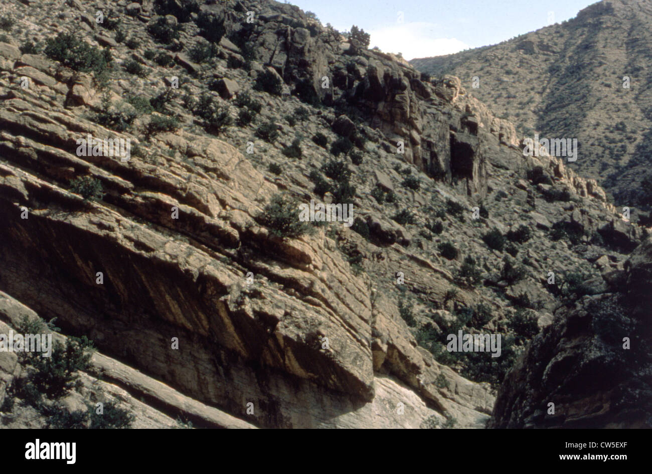 Aures hi-res stock photography and images - Alamy