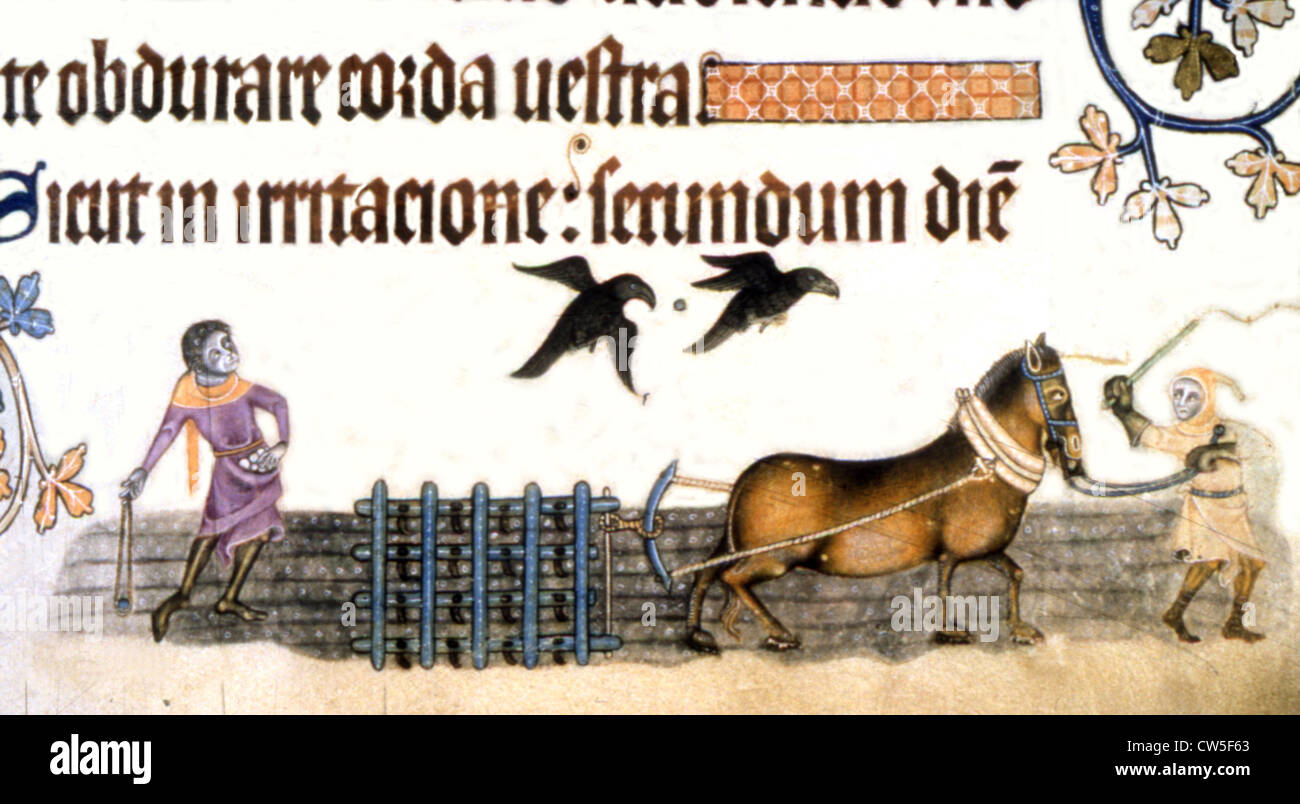 Lutrells hi-res stock photography and images - Alamy