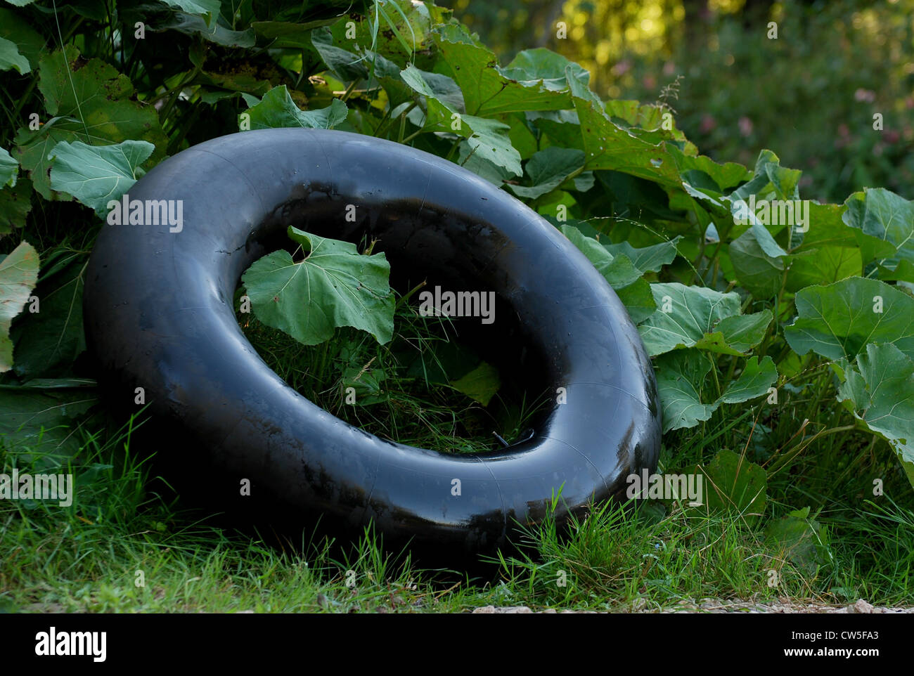 Hollow Circle High Resolution Stock Photography and Images - Alamy