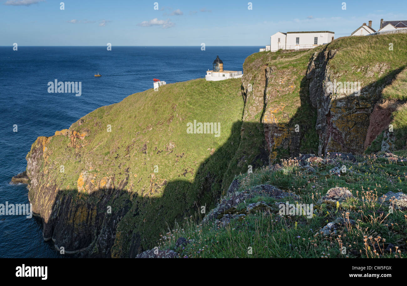 St abbs head hi-res stock photography and images - Alamy