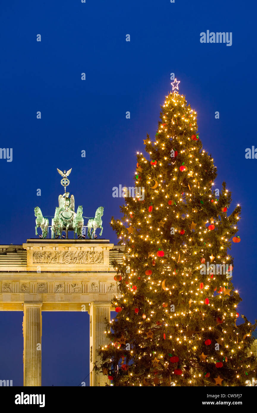 Berlin, illuminated Christmas tree in front of Brandenburg Gate Stock ...