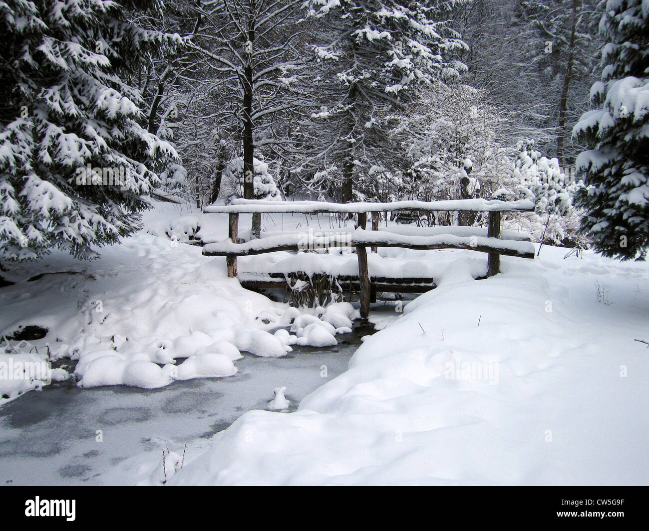 Sauerland, snowscape in Winterberg Stock Photo - Alamy