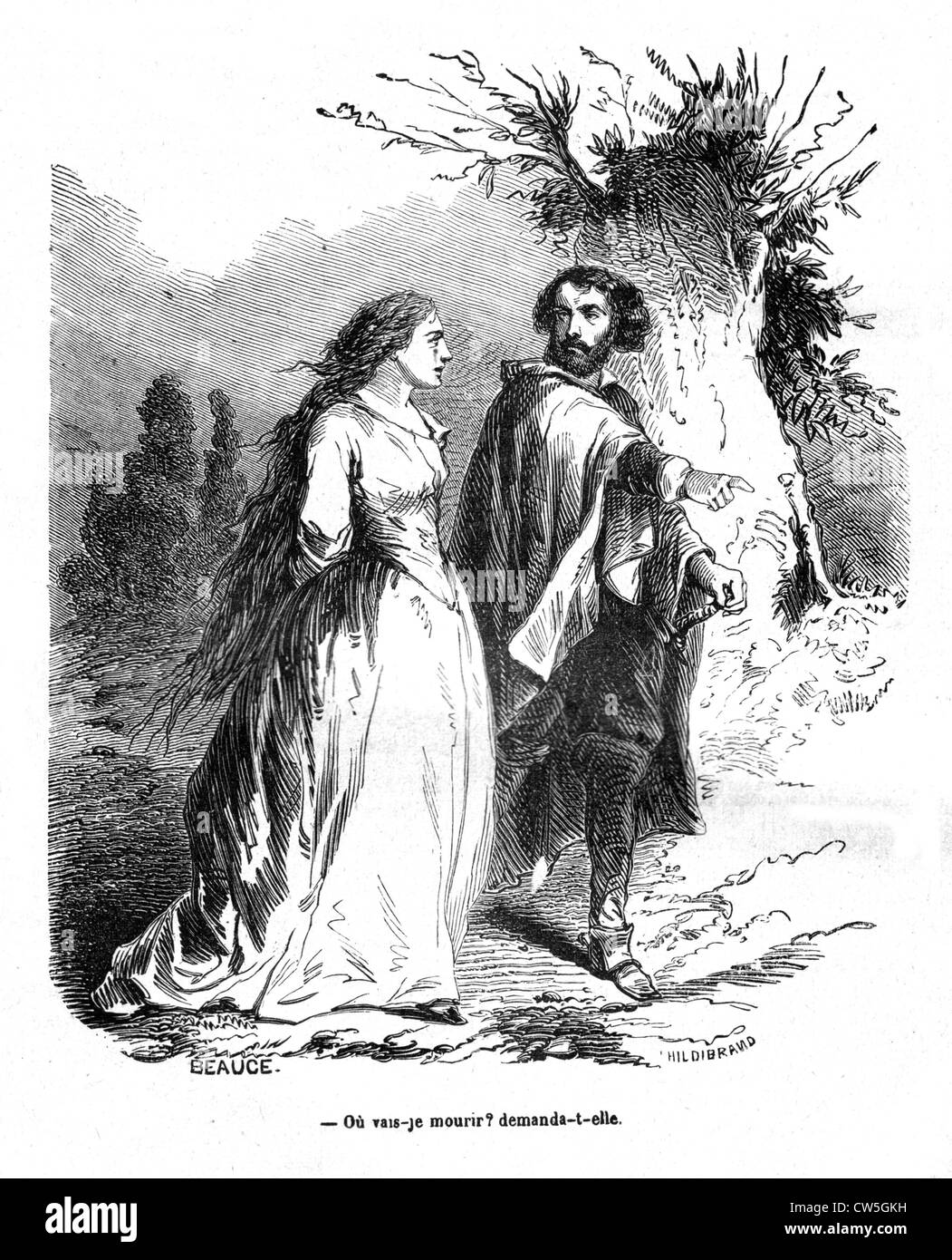 The Three Musketeers, illustration Stock Photo - Alamy