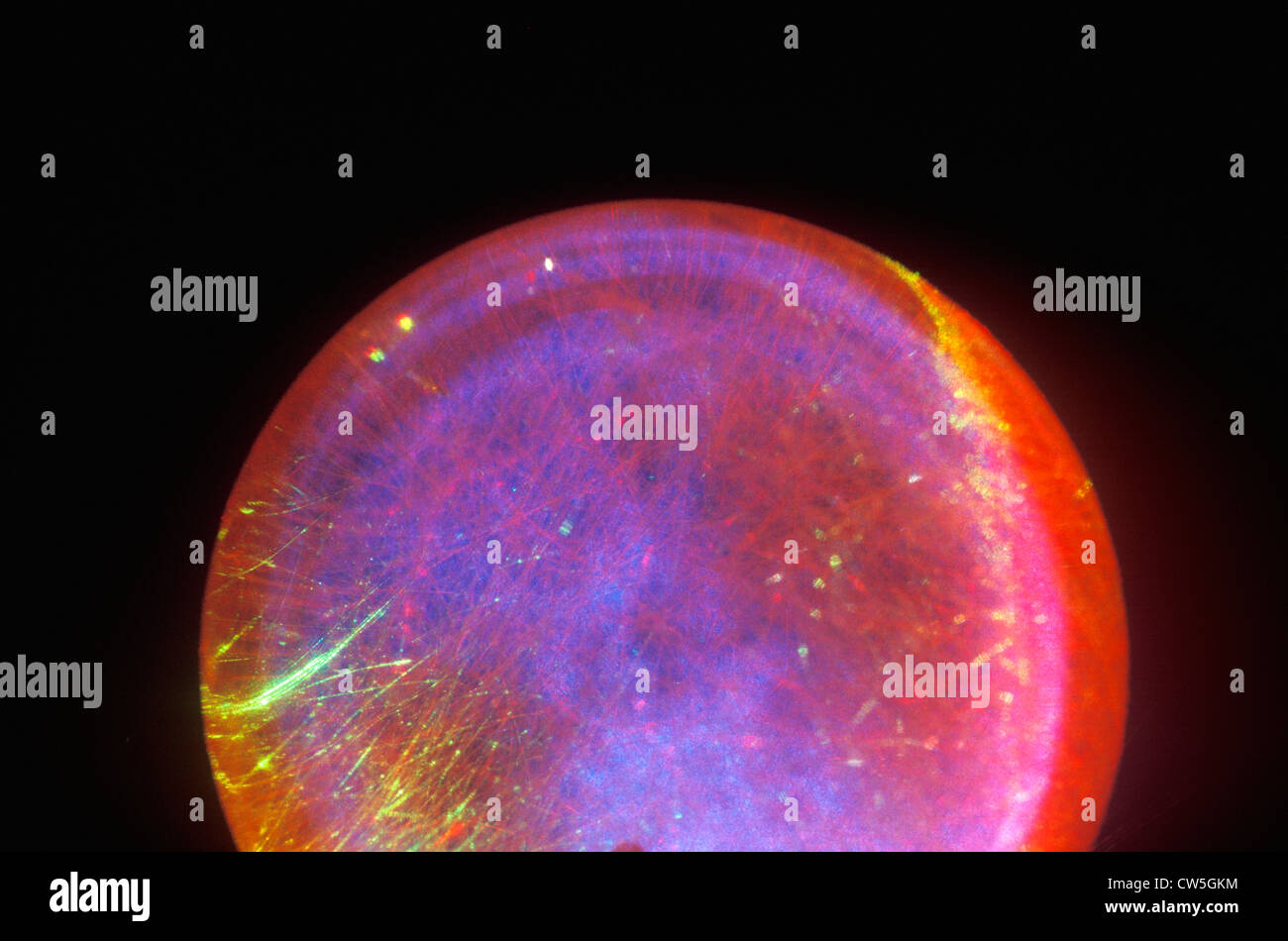 A glowing crystal sphere as colorful laser light shines through Stock ...