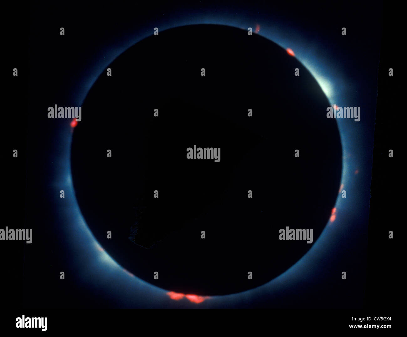 A total solar eclipse with prominences Stock Photo - Alamy