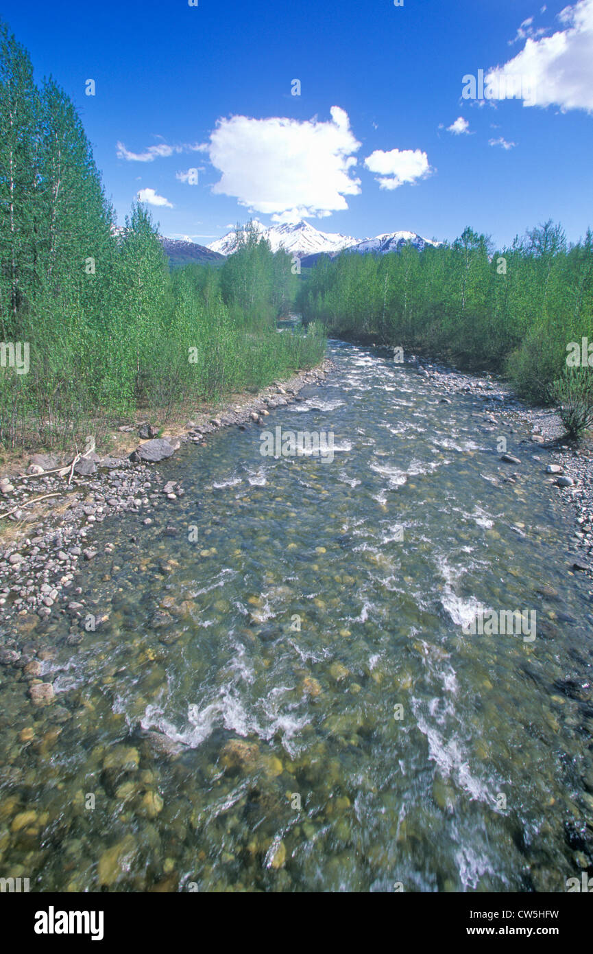 ?Moose Creek? along Matanuska Highway, Route 1, Alaska Stock Photo - Alamy