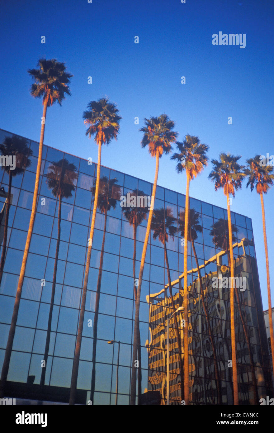 Hollywood high rise hi-res stock photography and images - Alamy