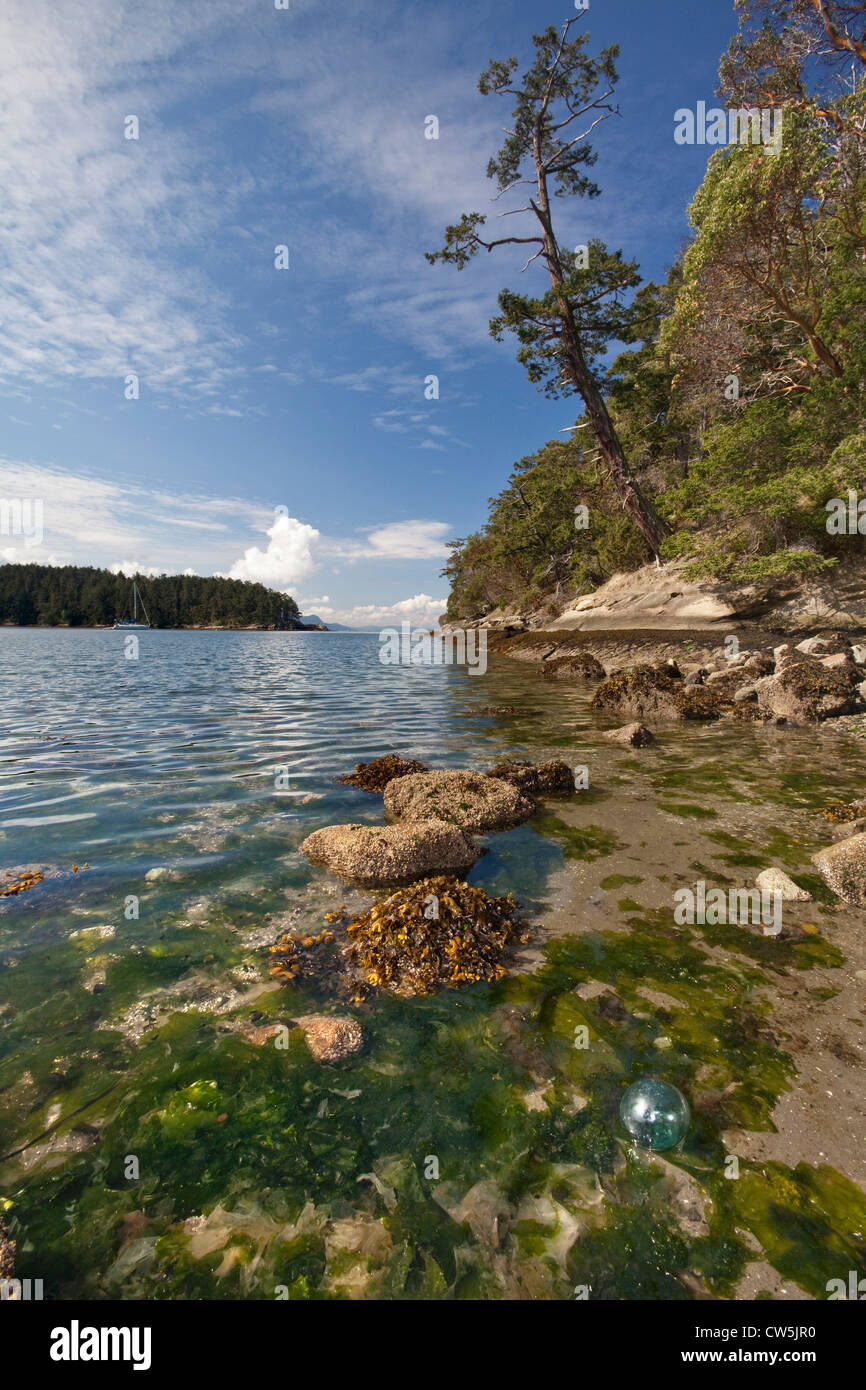 Sucia Island High Resolution Stock Photography and Images - Alamy