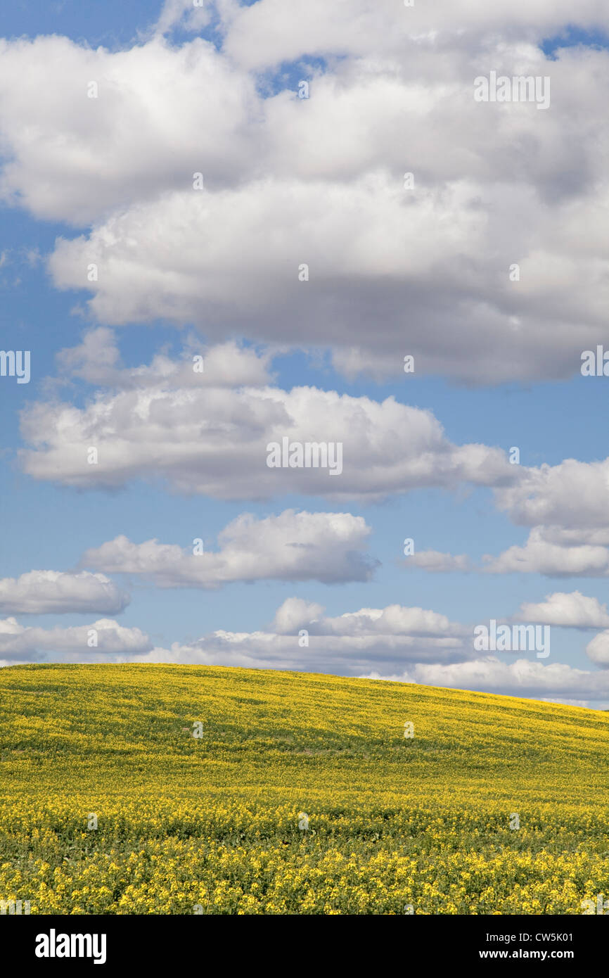 Cloudy sky vertical hi-res stock photography and images - Alamy
