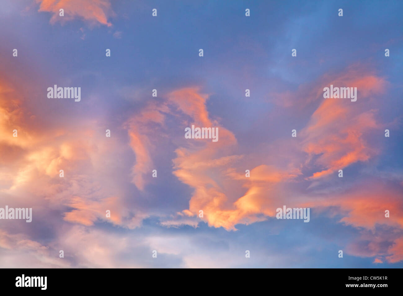 Dabob hi-res stock photography and images - Alamy