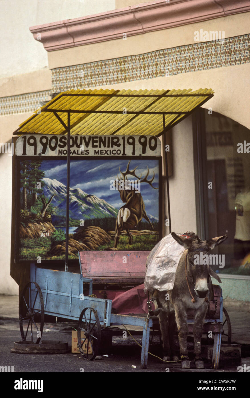 Donkey-drawn mobile photograph backdrop, Nogales, Arizona/Mexico Stock ...