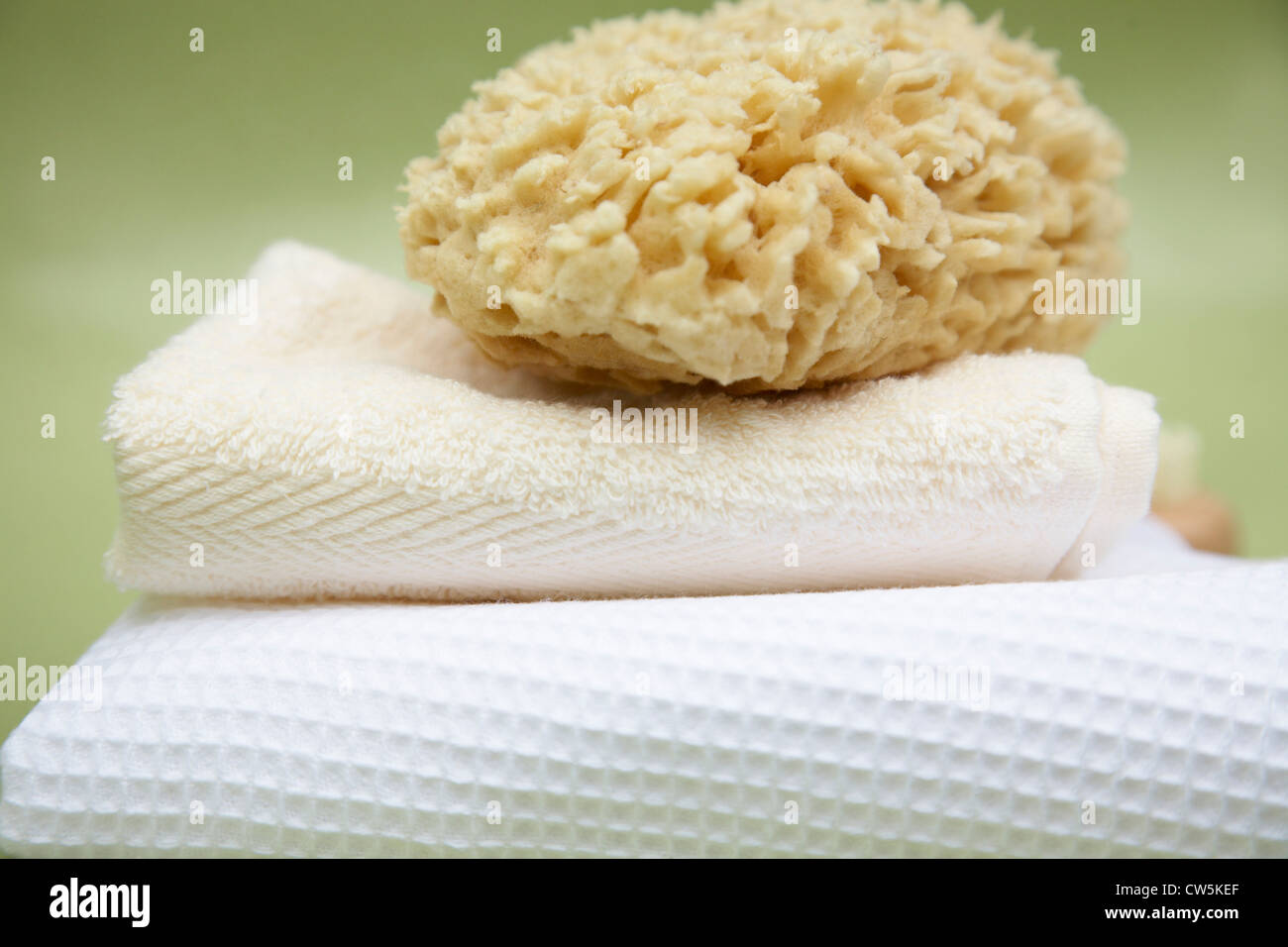 Close-up of a natural sponge placed on folded towels Stock Photo - Alamy