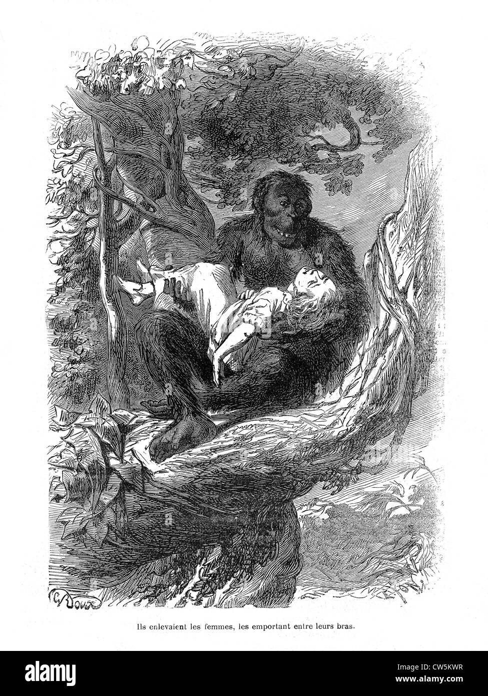 Alexandre abduction literature monkey kidnapping hi-res stock ...