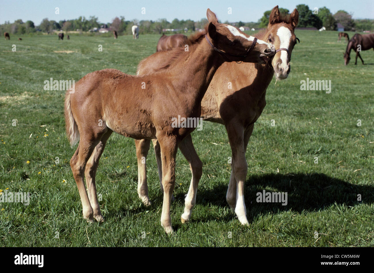 Claverack hi-res stock photography and images - Alamy