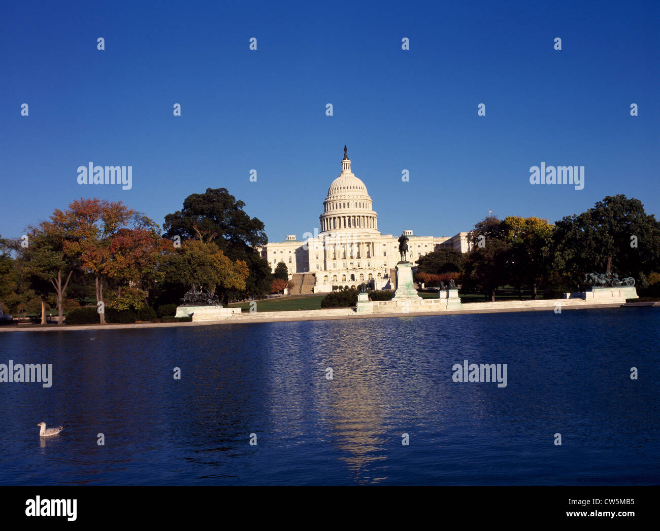 Pool in front of a government building, Capitol Building, Washington DC ...