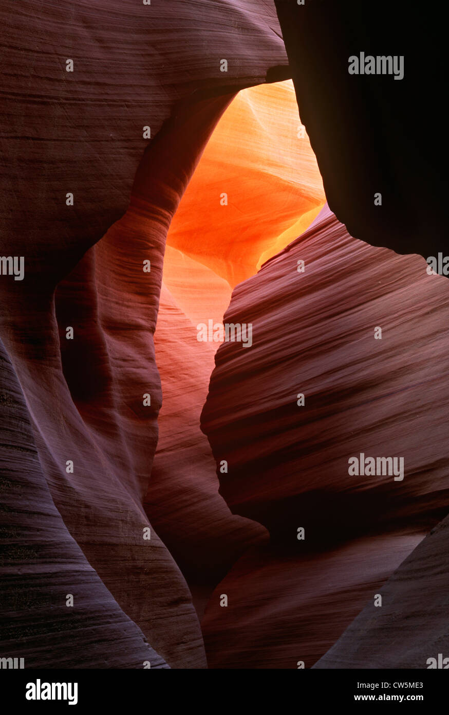 Corkscrew Canyon, the lower section of Antelope Canyon, an slot canyon ...