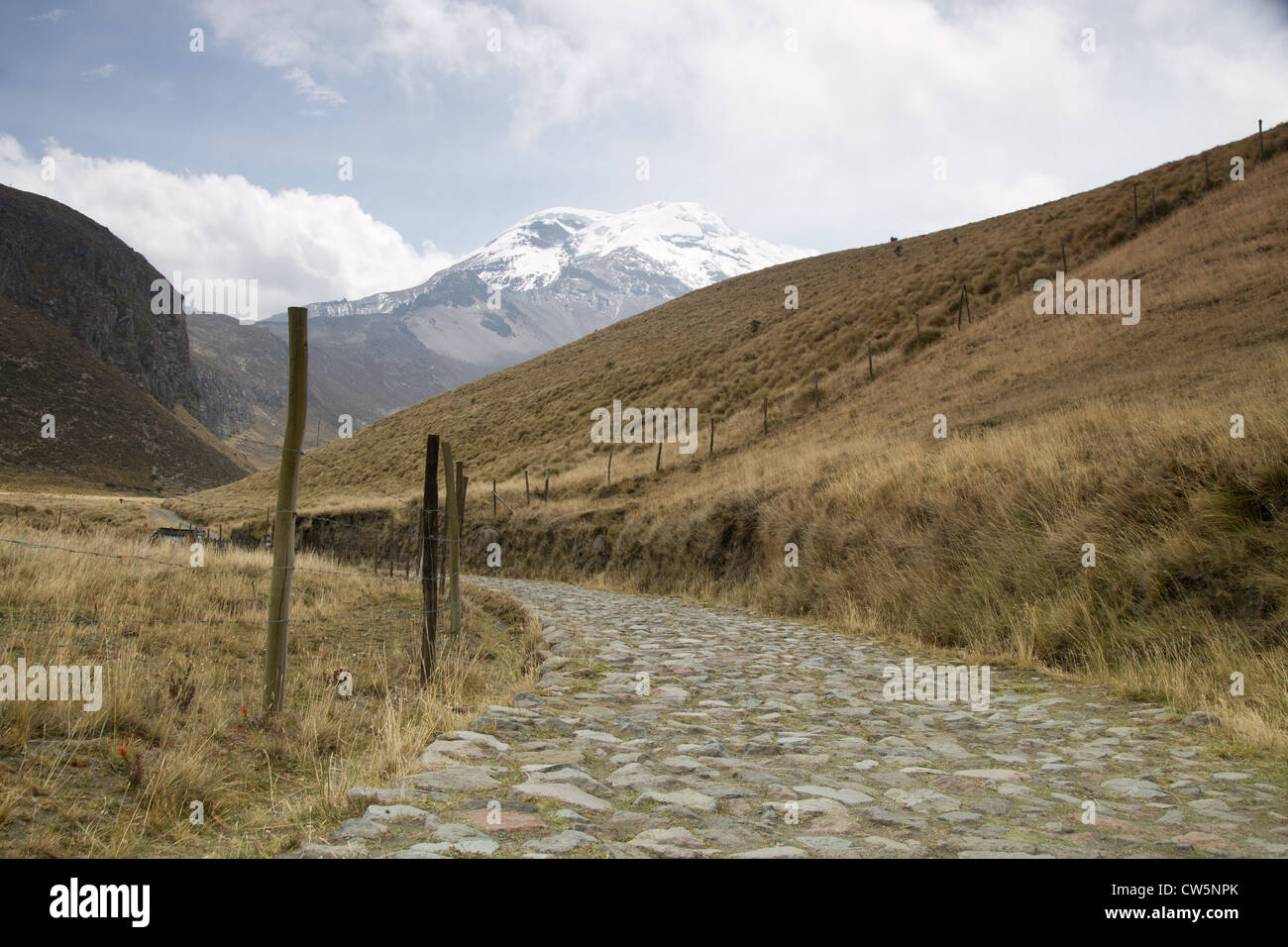 Chimborazo hi-res stock photography and images - Alamy