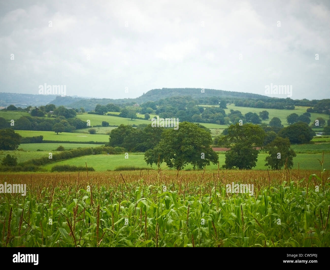 Rawhead cheshire hi-res stock photography and images - Alamy