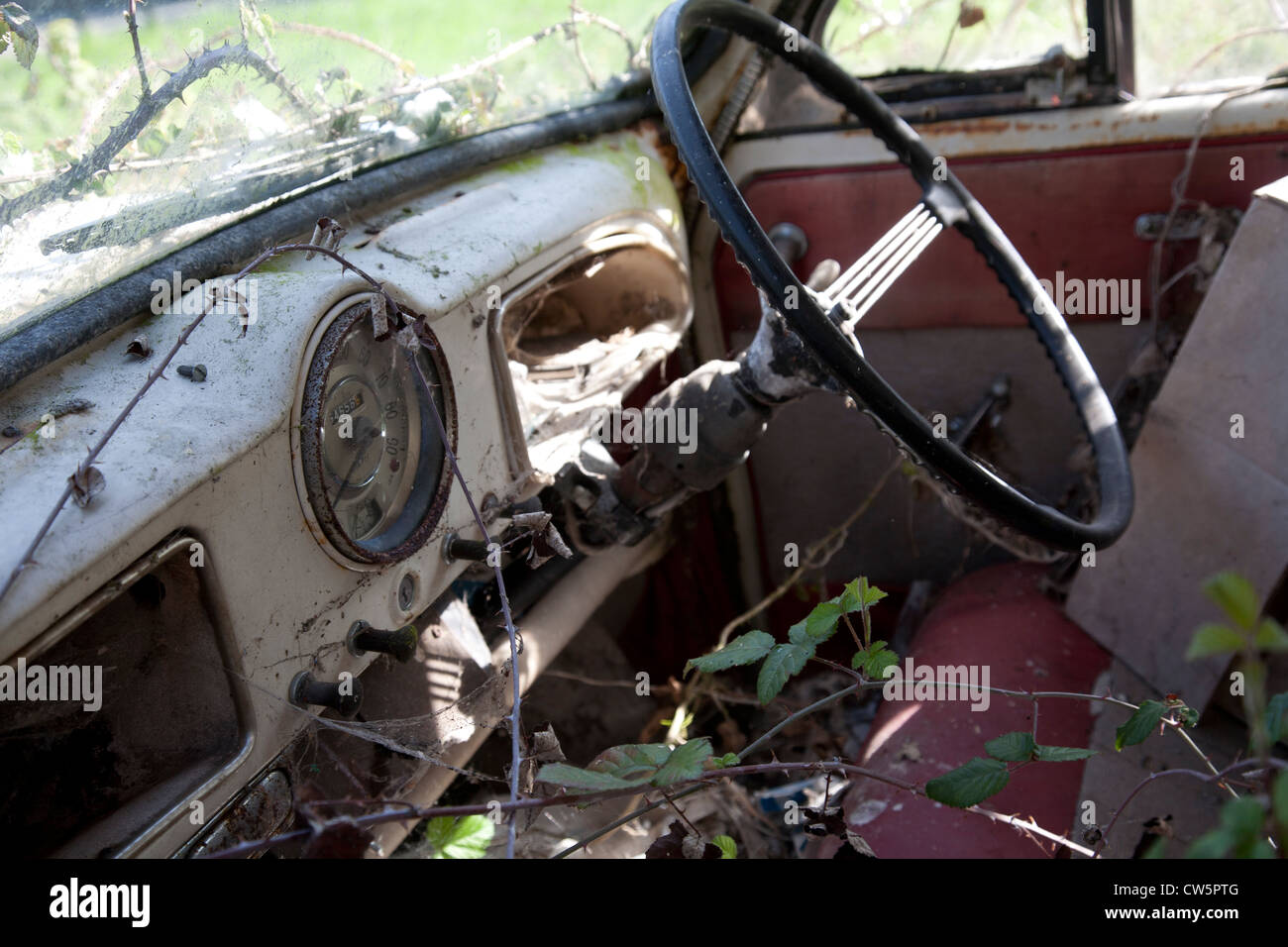 old car, rusting and overgrown in field, Kent Stock Photo - Alamy
