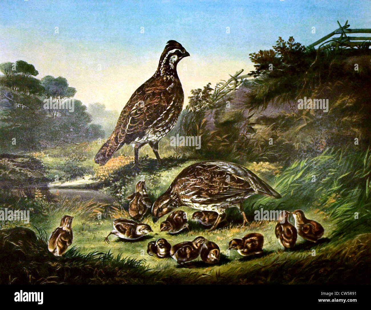 Litograph by Currier and Ives, The cares of a family Stock Photo - Alamy