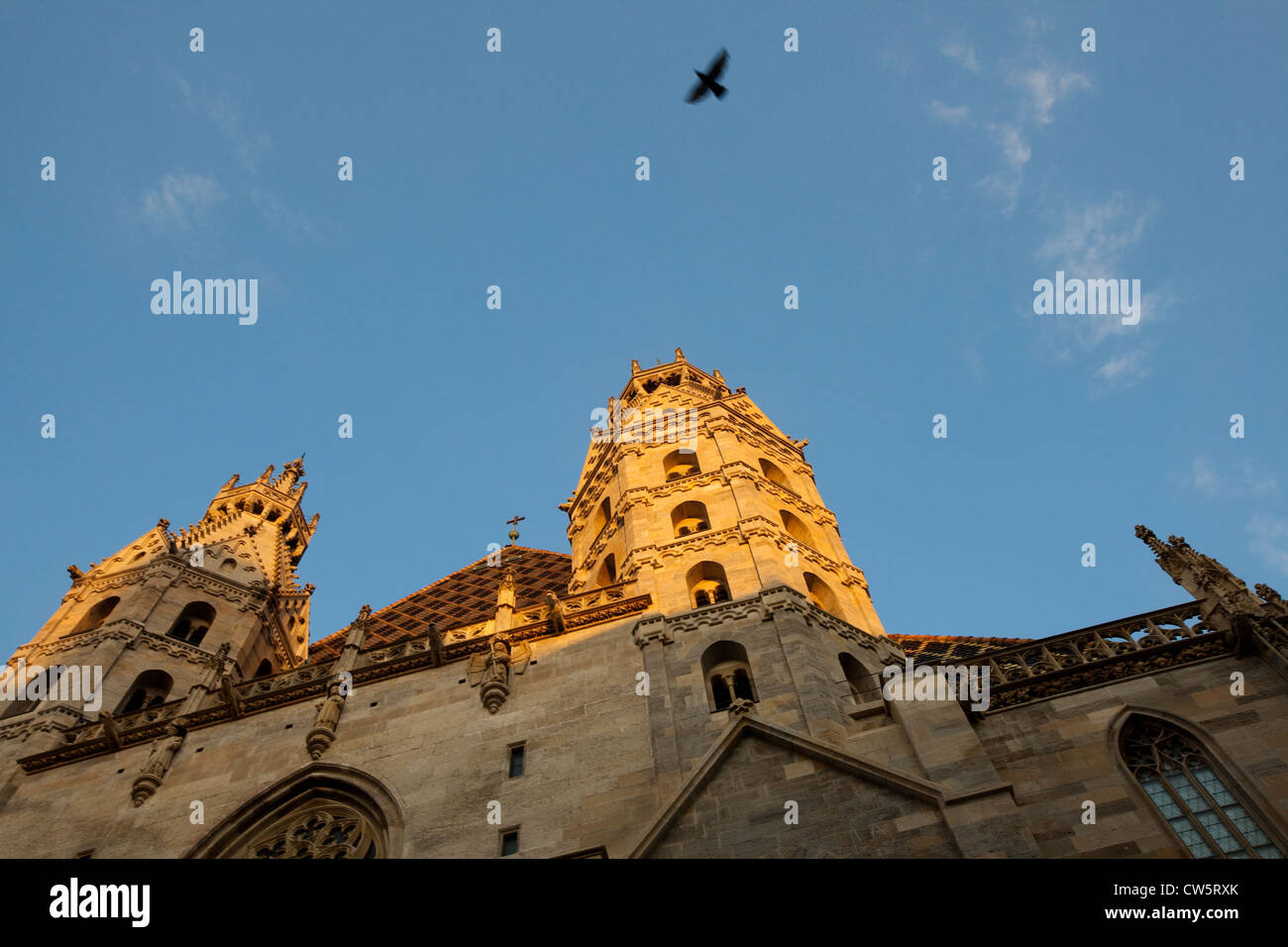 St stephans cathedral hi-res stock photography and images - Alamy