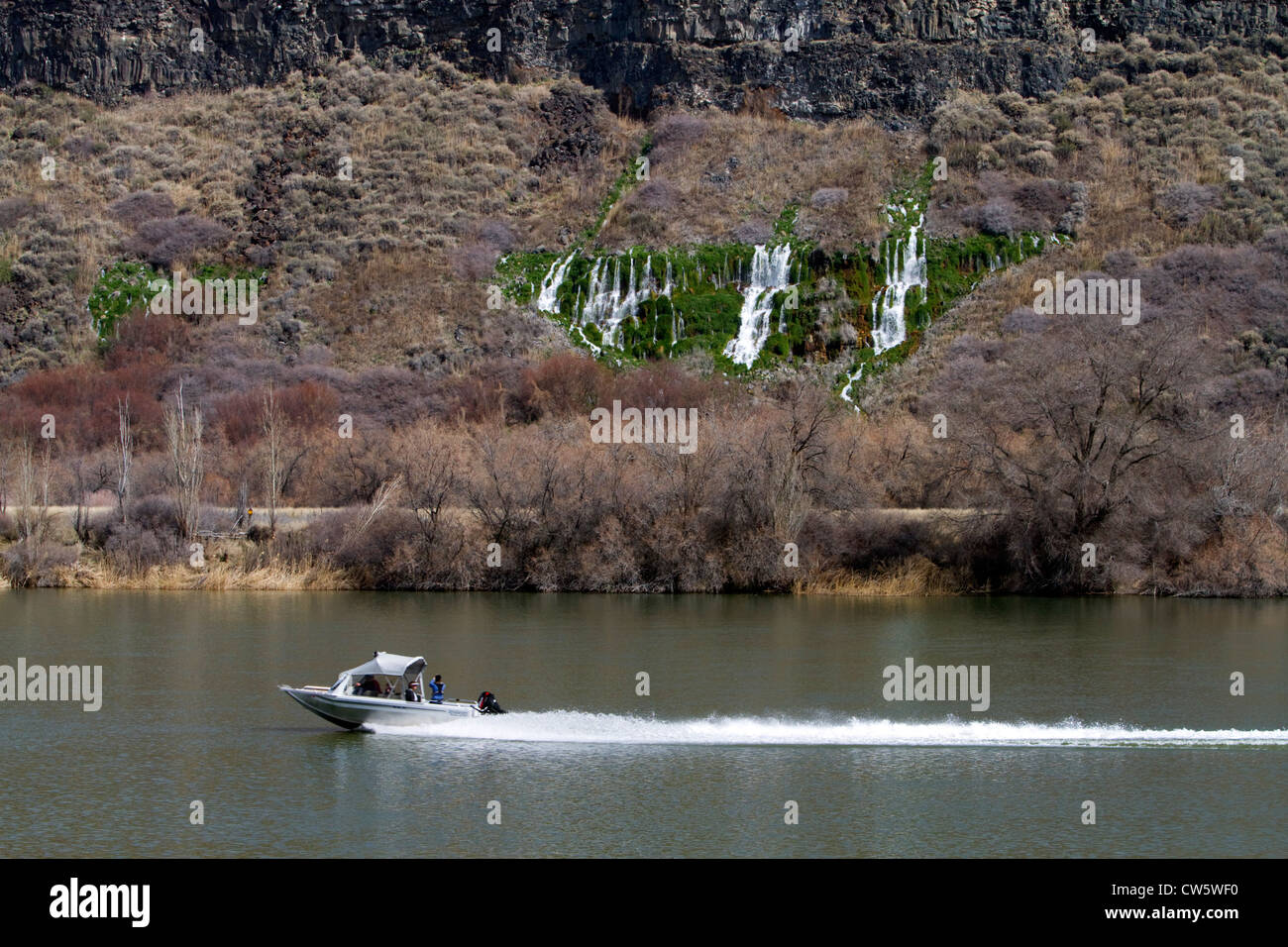 Springs at Thousand Springs State Park along the Snake River in the ...