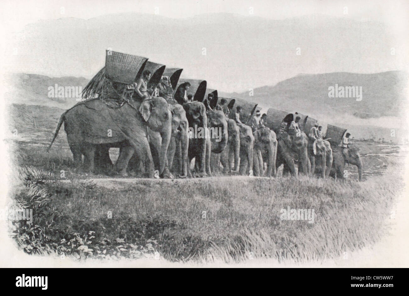 1905 caravan of elephants hi-res stock photography and images - Alamy