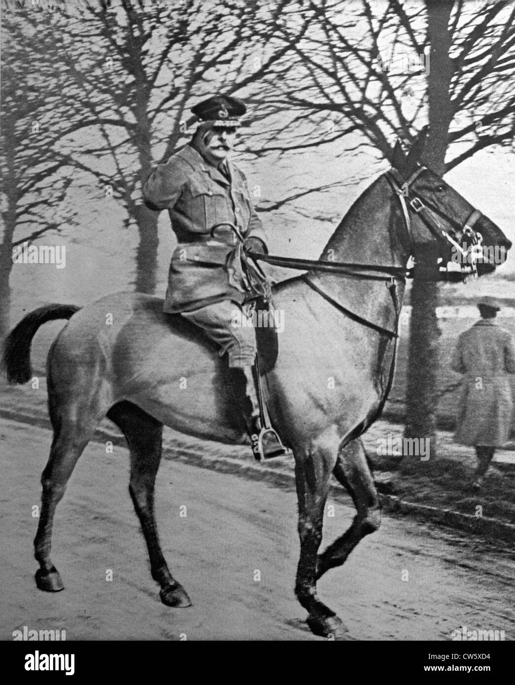 World War I. General Douglas Haig, commander-in-chief of the British ...
