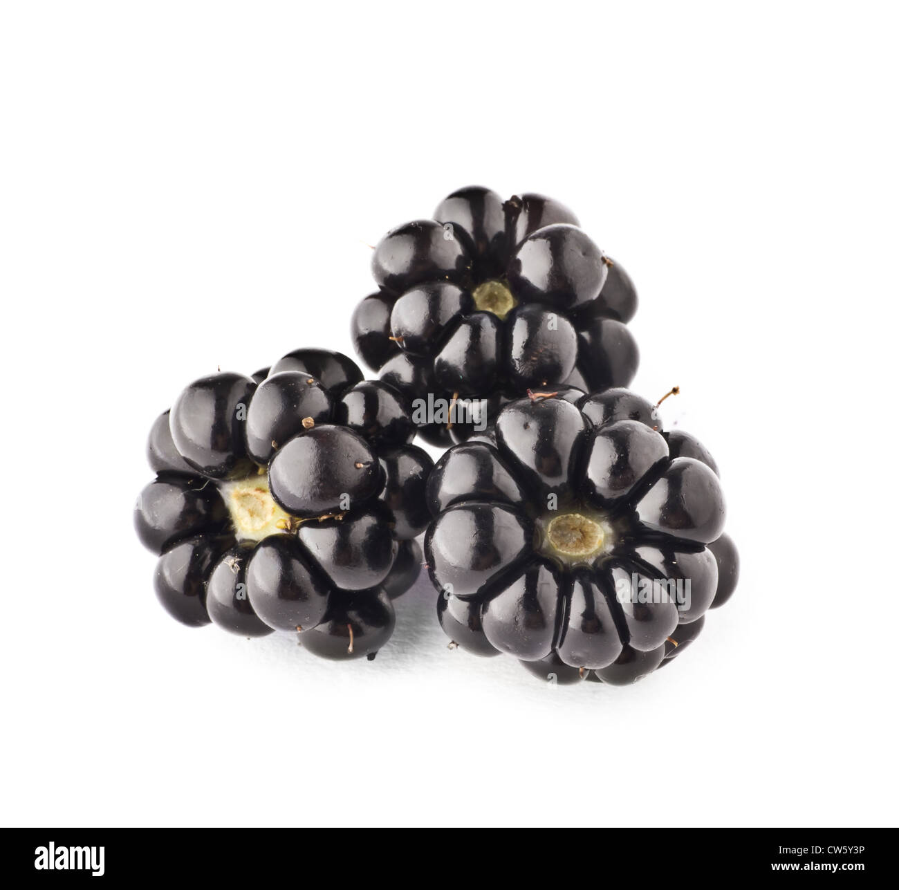 Fresh blackberry fruits isolated on white background Stock Photo - Alamy